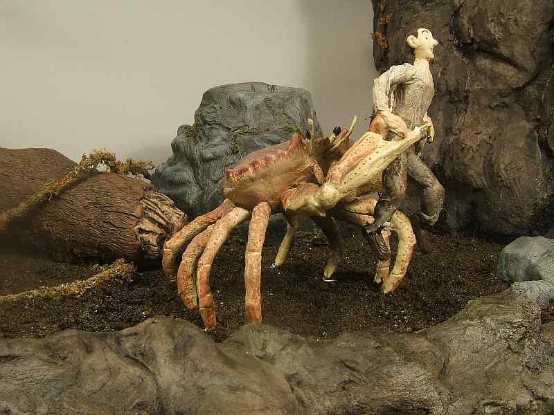Blacknick Sculpture: Kong Spider Pit Finished