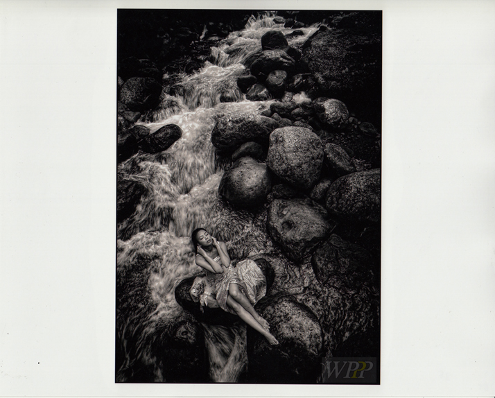 WPPP: October 2012 Photo Contest Winners