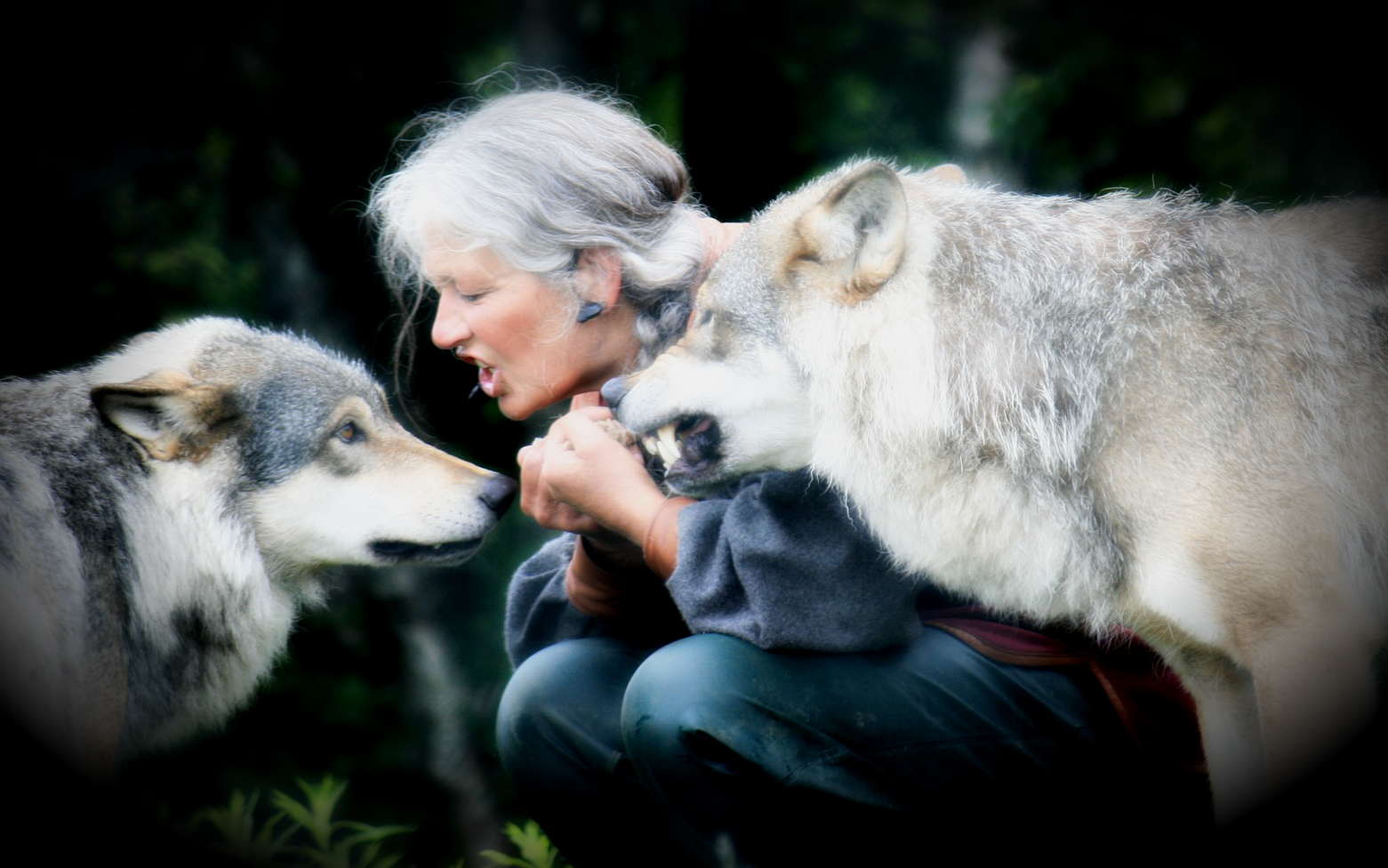 Grimório Xamã: Espiritualidade dos Animais: Animais de Poder