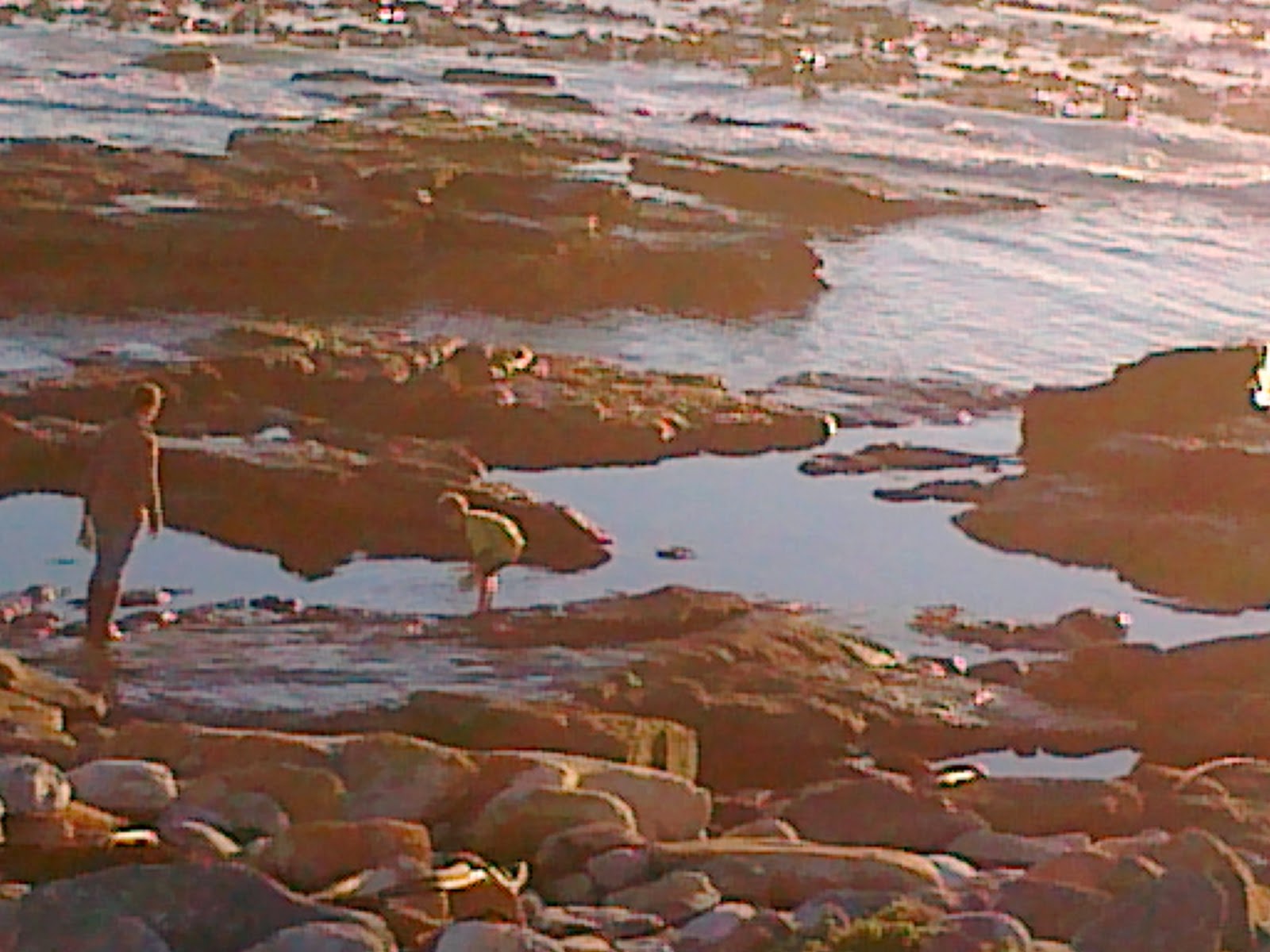 A day in the life: Real June weather