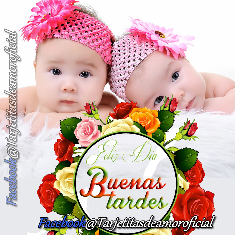 🌹🌹Buenas Tardes mi AMOR🌹🌹 Que esta tarde sea repleta de paz, amor y ...