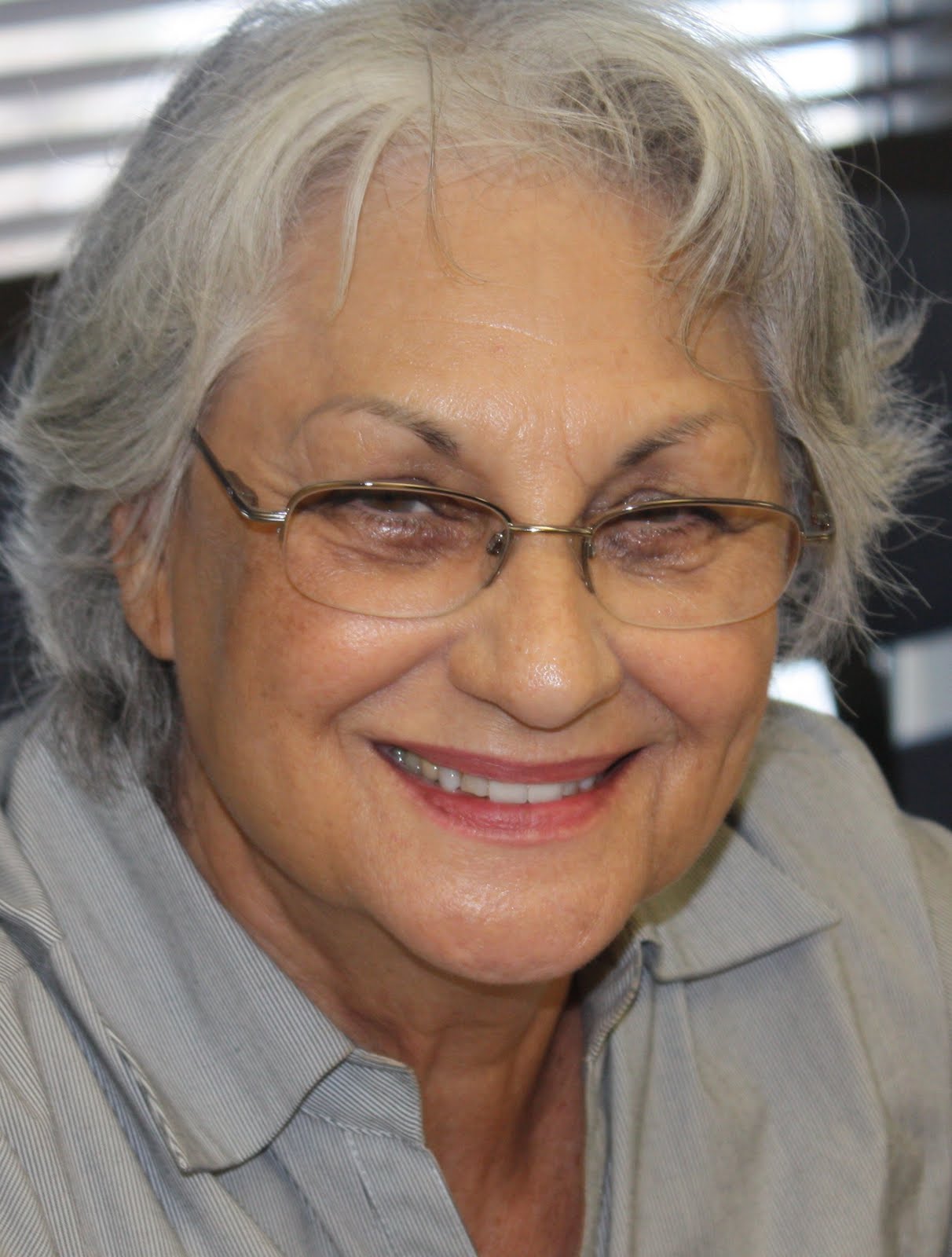 Walker Report - Shedding Light on Bexar County: NW Dems. host candidate ...