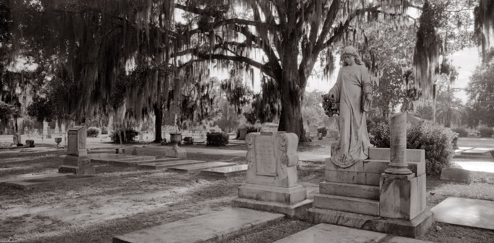 Valdosta in Film: Sunset Cemetery at Sunset - 6x12 panoramic images