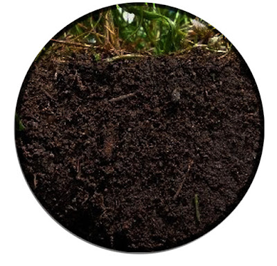 4. Características Físicas de los Suelos - Geosuelos