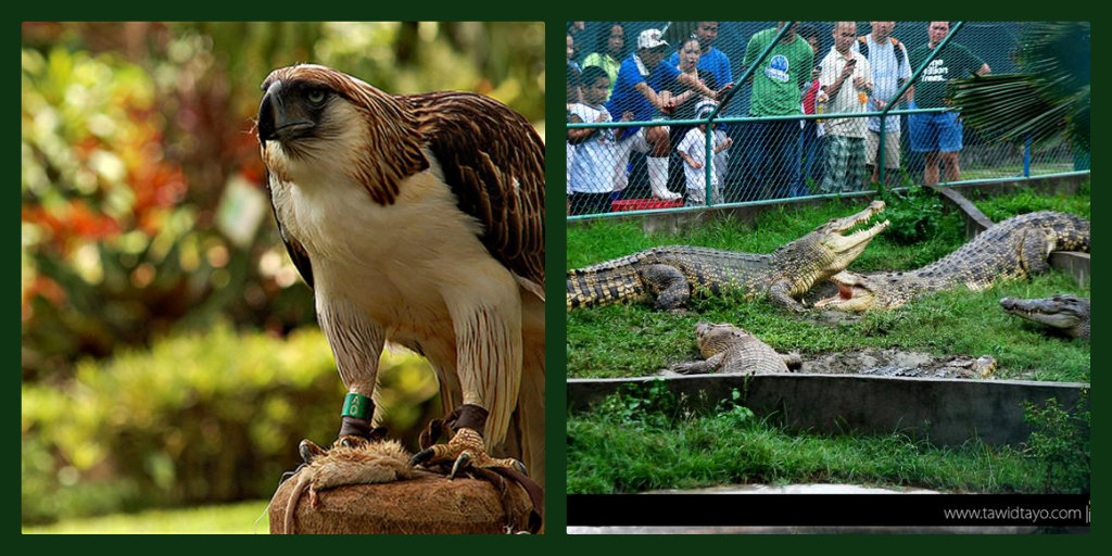 Chiara's Travel Insights: Best of Davao & Tourist attractions