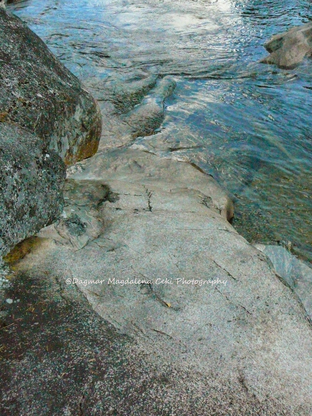 Dagmar Magdalena Rainbowserpent Medicine Woman : The Bardo State of ...