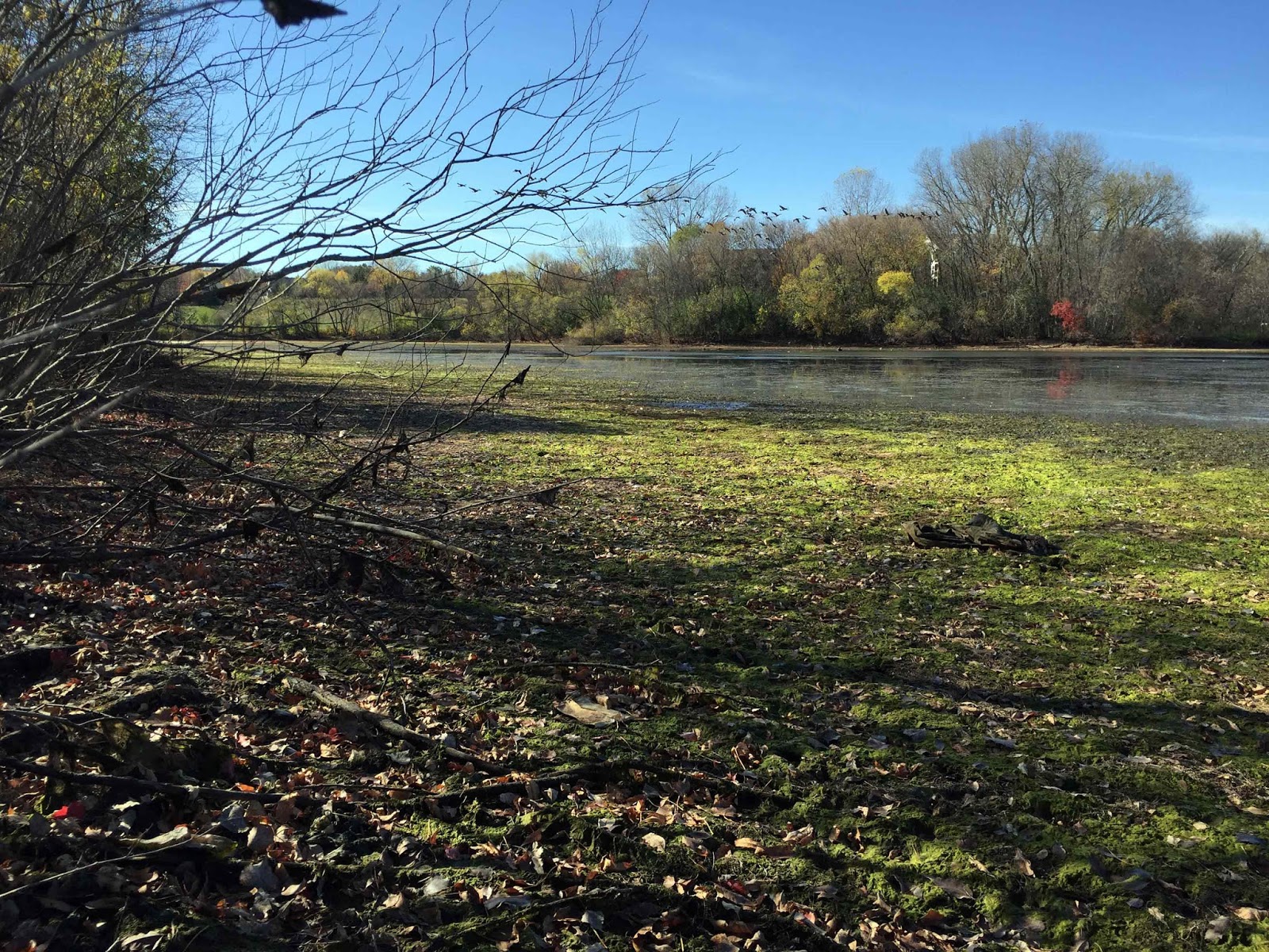 The Ripple Effect: Big Yellow Excavators Improve Local Fishery