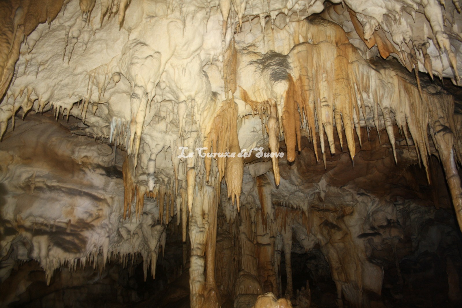 El Blog de La Curuxa del Sueve: CUEVA DE PANDO