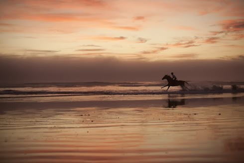 Friends Of Redcar: Redcar Flood Alleviation Scheme Complaint Part.Four