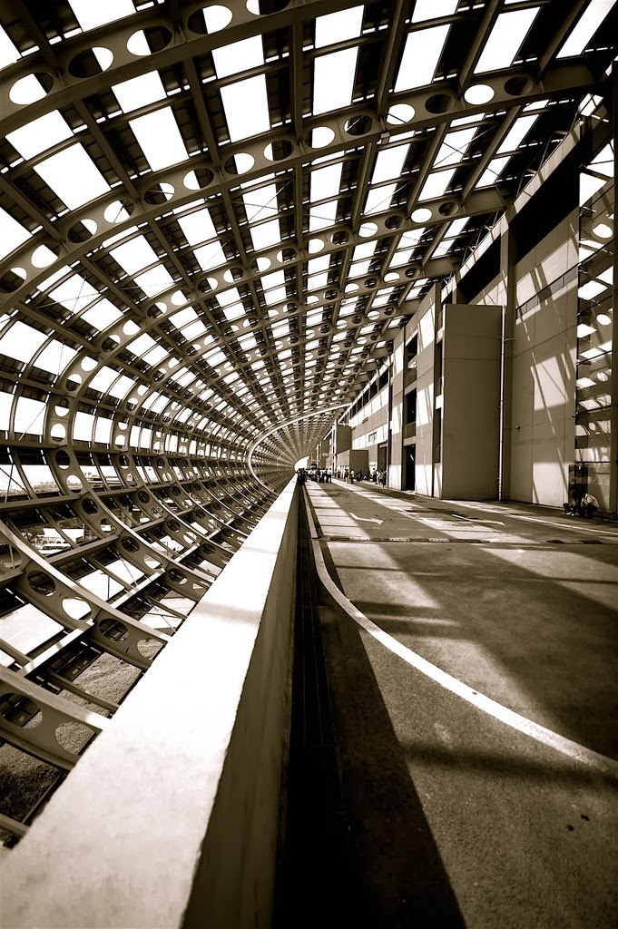 DAI 323 Literacy Visual Design Literacy: Week 11, Implied Movement