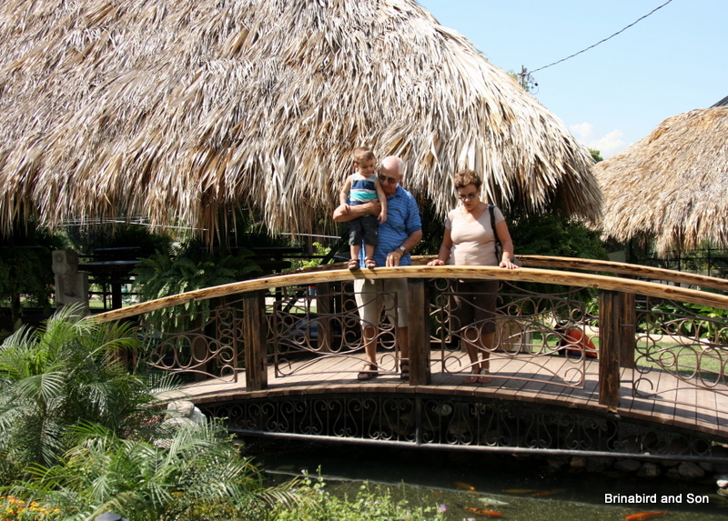 Brina Bird, the Wee Man and the Diva: Hope Zoo Kingston Jamaica