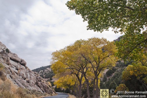Bonnie Rannald's Photo-Explorations in focus with nature. : Six Mile Canyon