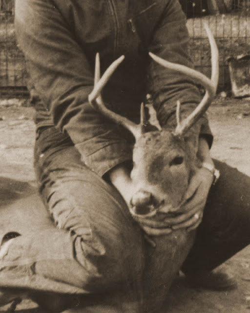 Pennsylvania Wildlife Photographer: Pennsylvania Deer Wars: A Different ...