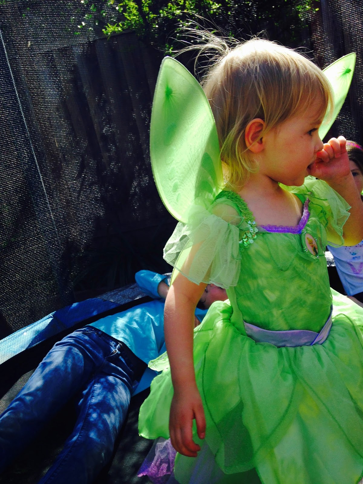 Coffey Girl Creates: Eve's 3rd Pixie Themed Birthday Party