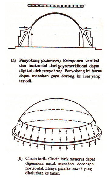 Struktur Cangkang - Bijeh Team