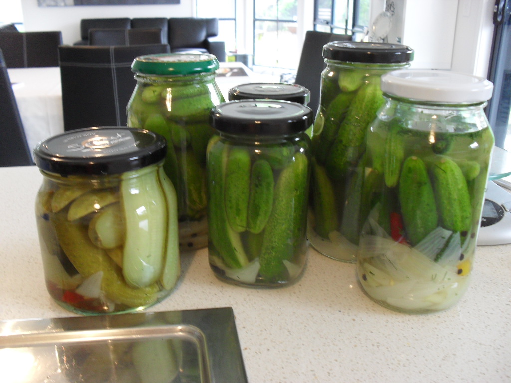 cardinal cyn: pickled gerkins