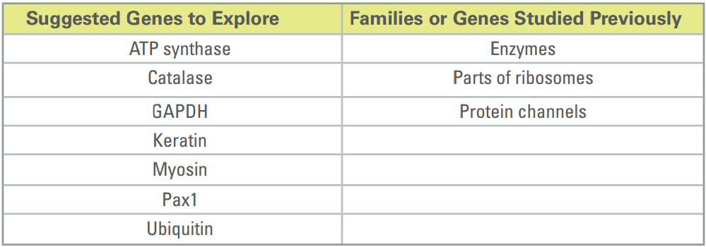 Mrs. Strong's AP Bio Lab Pages: BLAST Lab (AP Bio Lab #3)