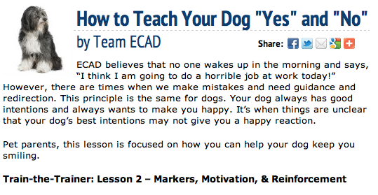 ECAD Service Dogs: How to Teach Your Dog "Yes" and "No" - Dog Training ...
