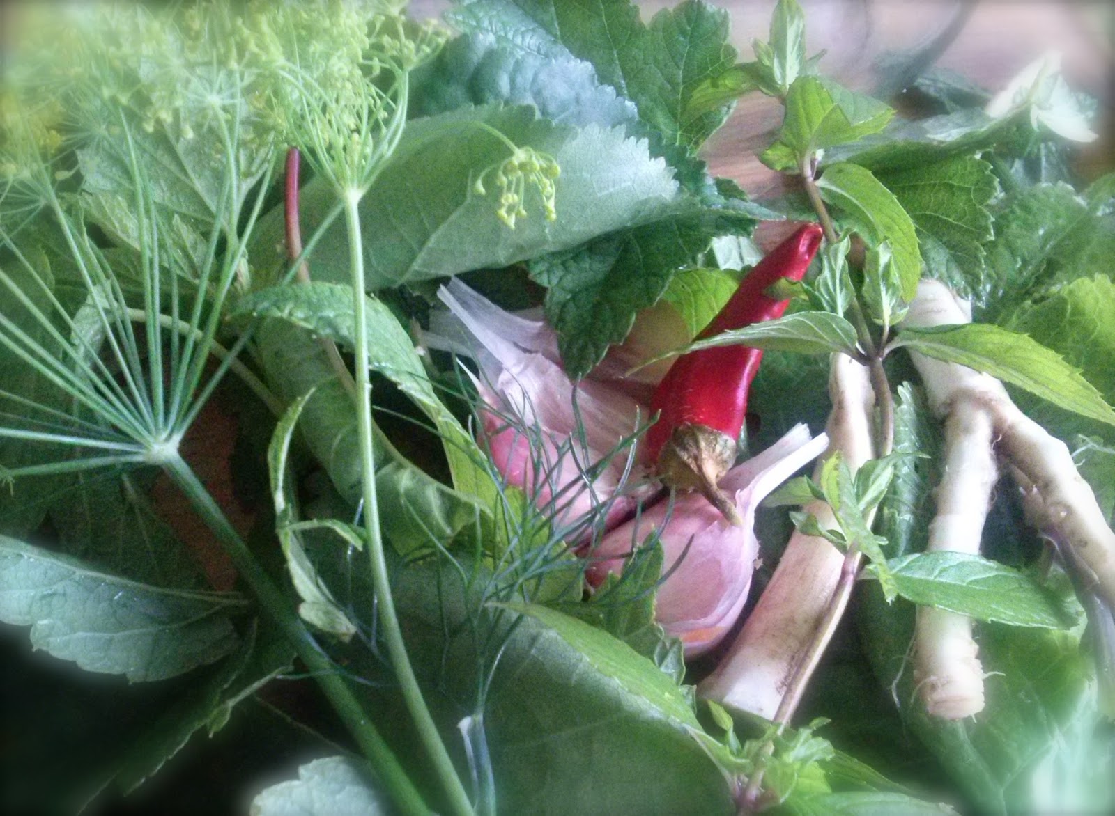 Värske hapukurk ehk malosolnõi - Aini kokaraamat