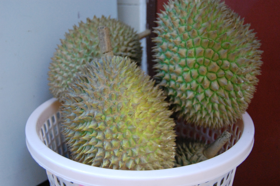 Sweet Like Candy : : :: Durian, yummy