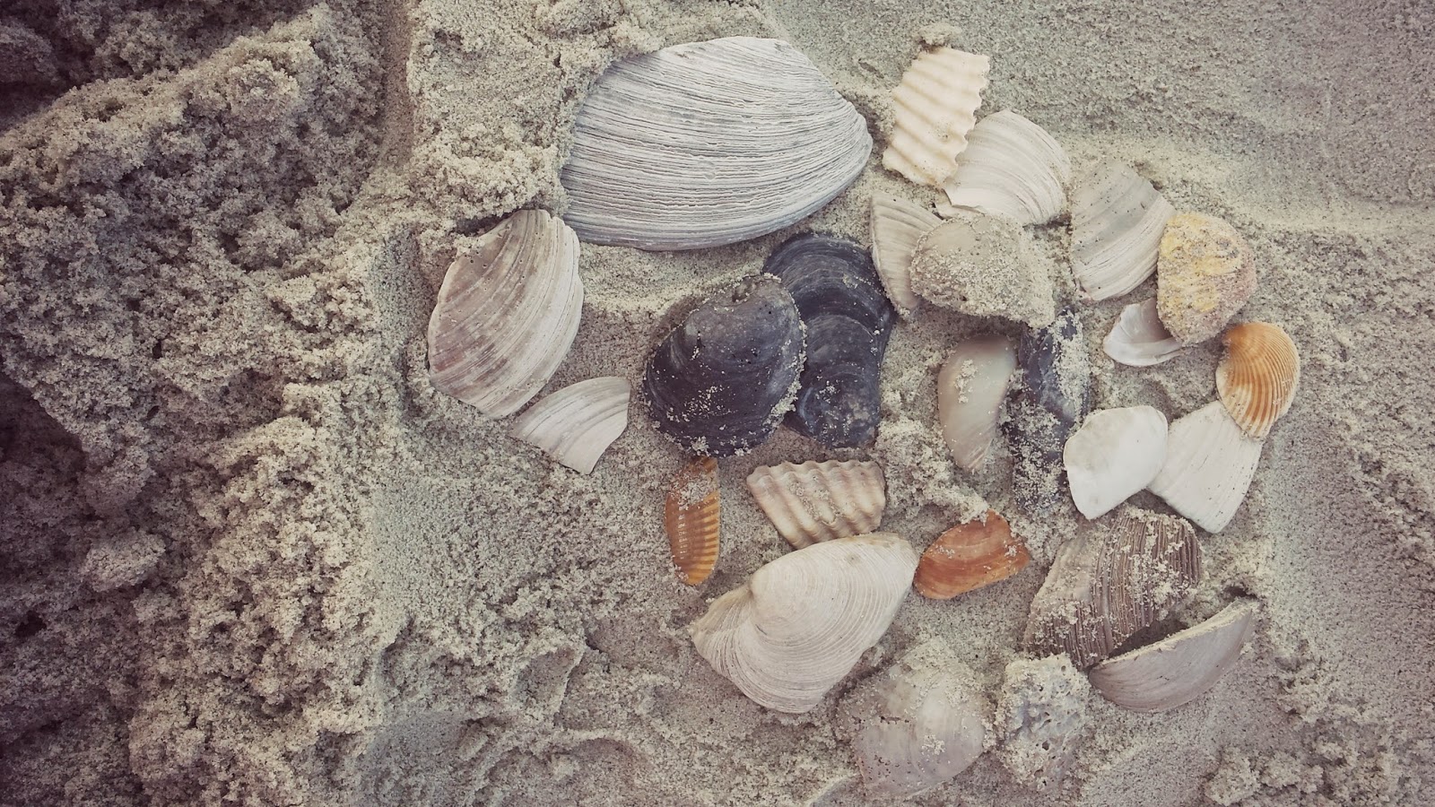 My Redeemer Lives: Broken Shells