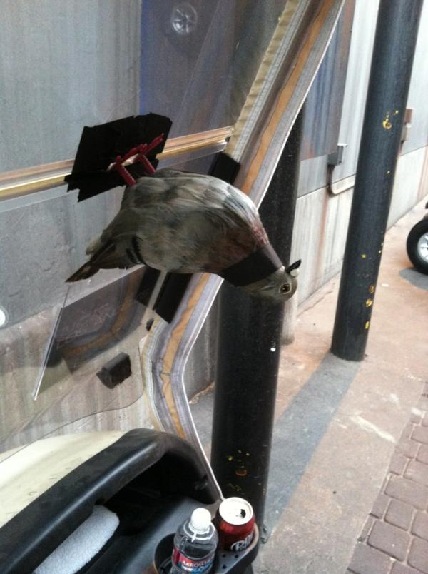 Behind-the-scenes picture | NCISLA Magazine