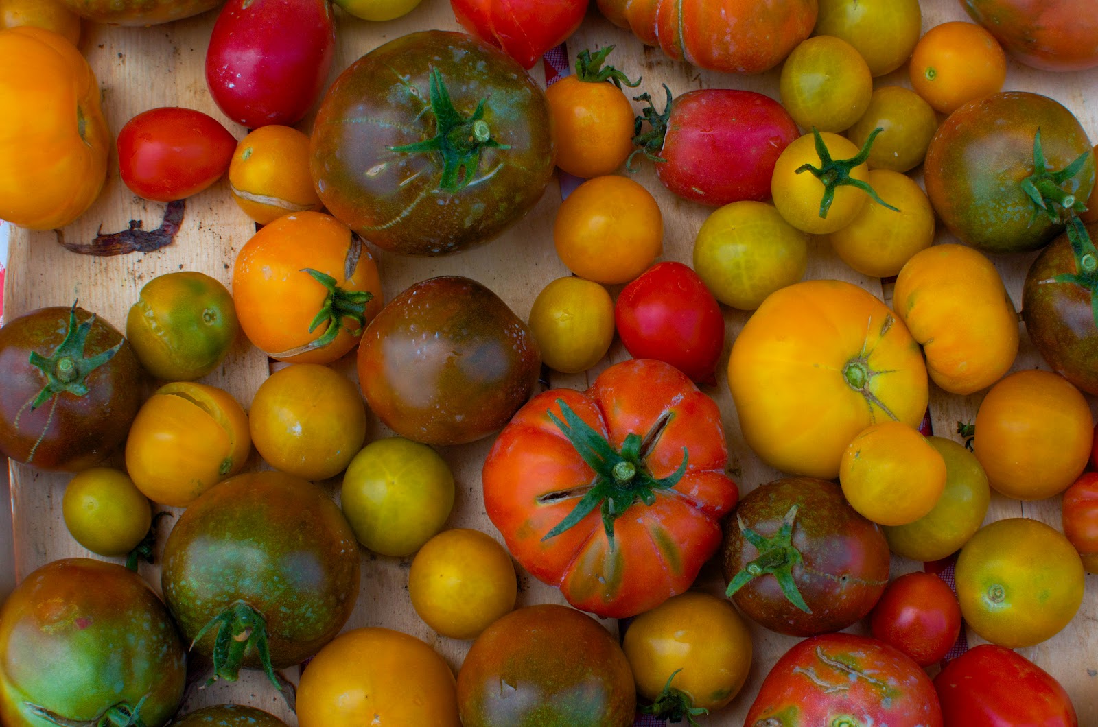 La Tavola Marche: In Season: Heirloom Tomatoes with 5 Tasty Tomato Recipes