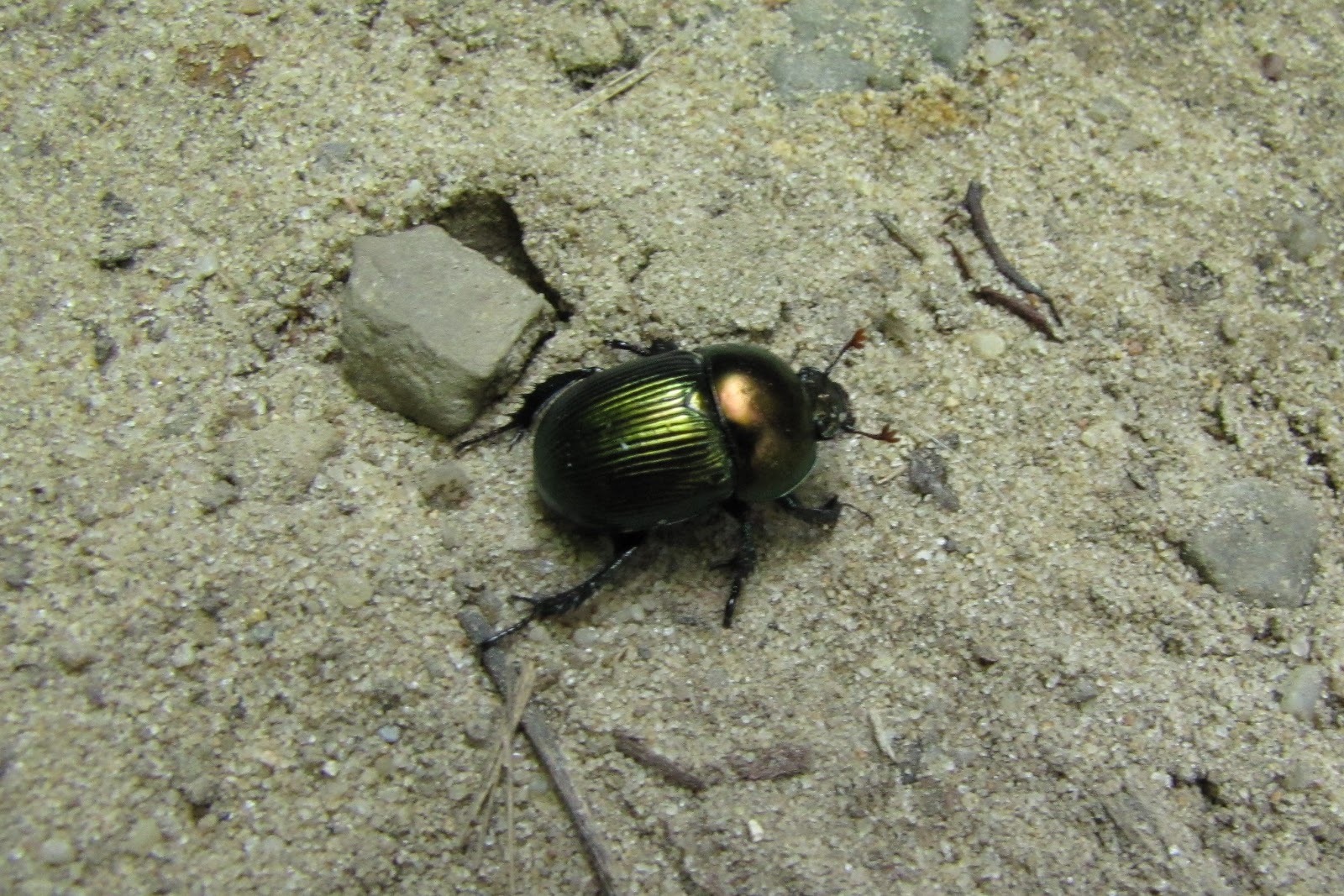 To Behold the Beauty: More from Cuyahoga Valley National Park