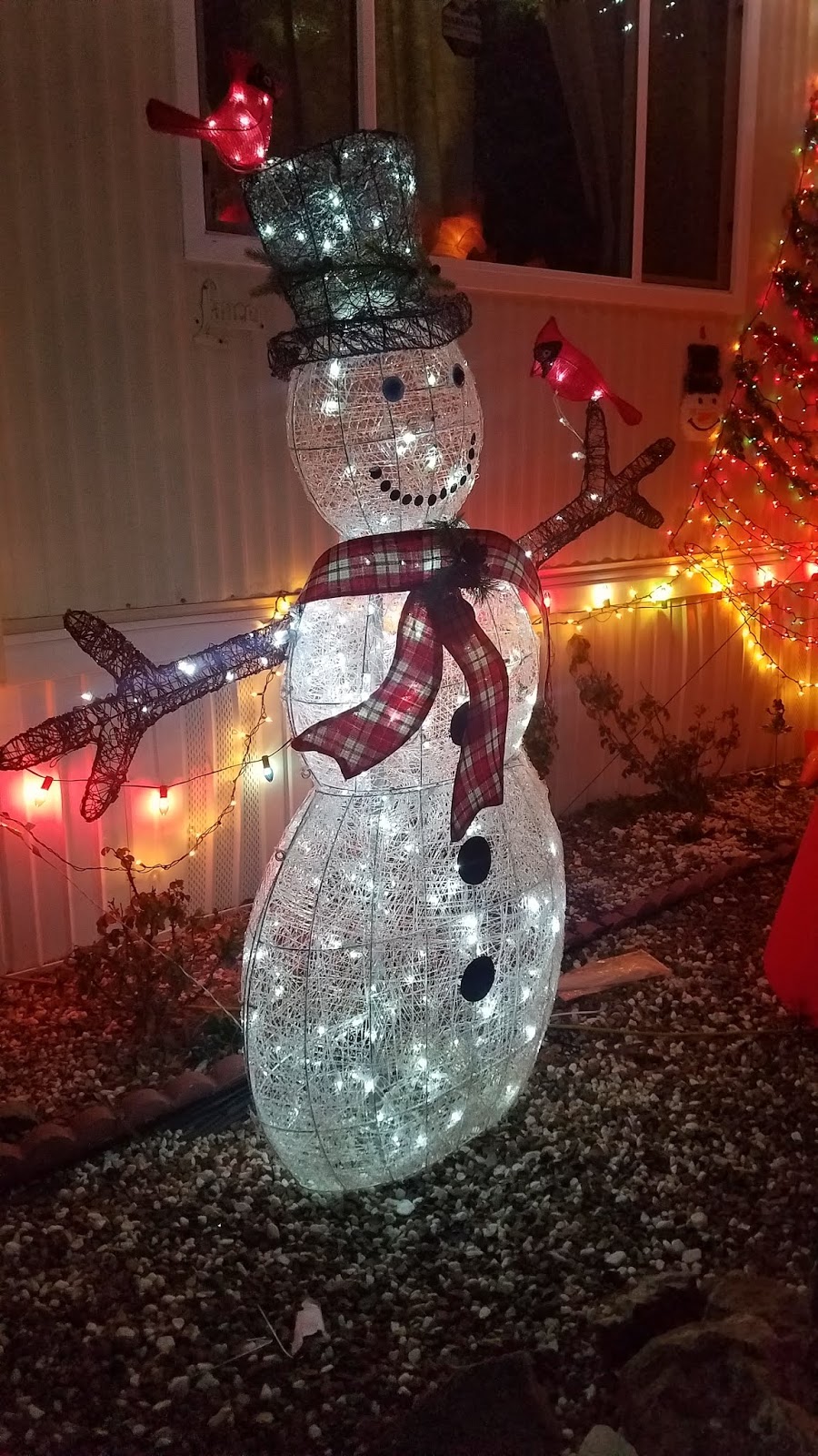 Adventures in Weseland: Random Christmas Photos