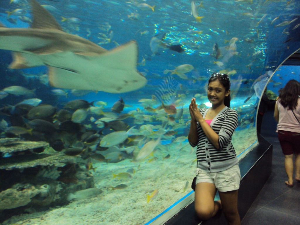 Manila Trip: Manila Ocean Park