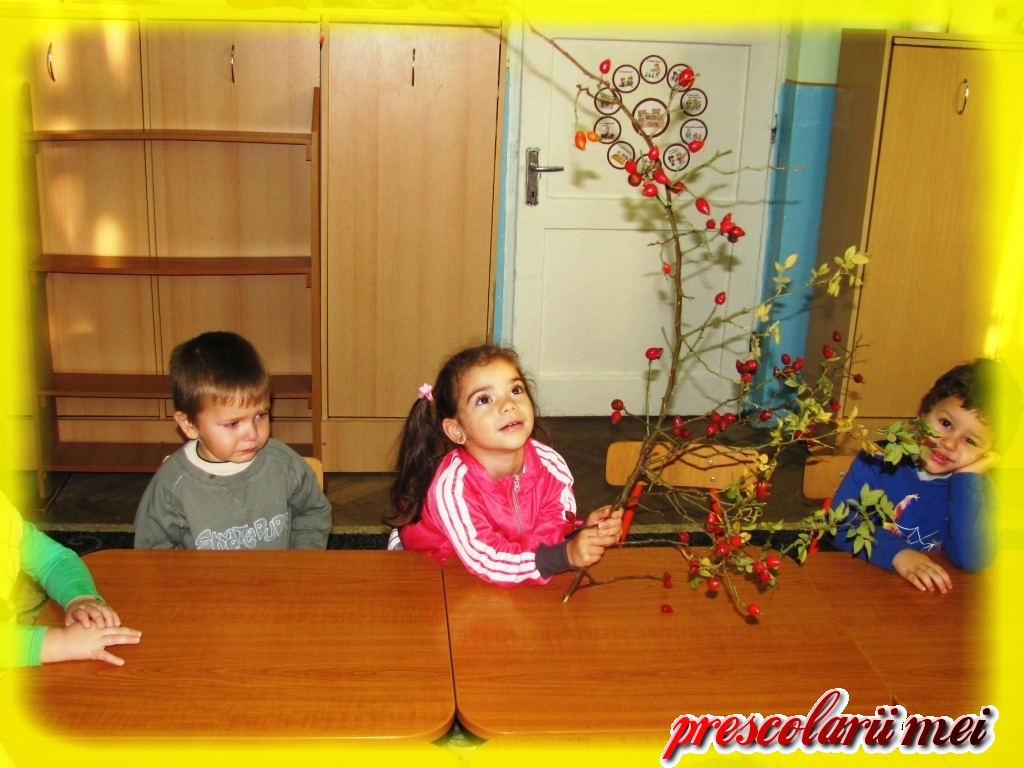 PRESCOLARII MEI: COSUL DULCE AL TOAMNEI (1)