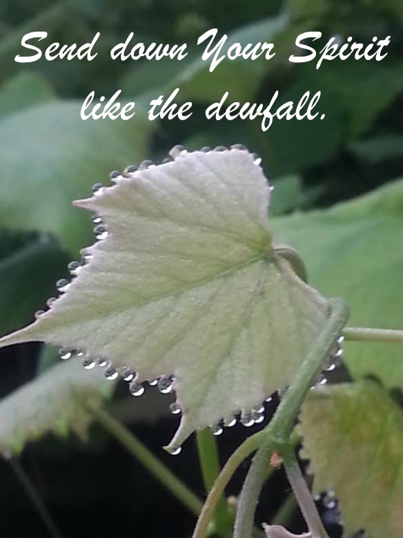 Imprisoned in my Bones: Like the Dewfall