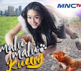 Malu Malu Kucing Nama Pemain Sinetron Malu-malu Kucing sinopsis cerita ...