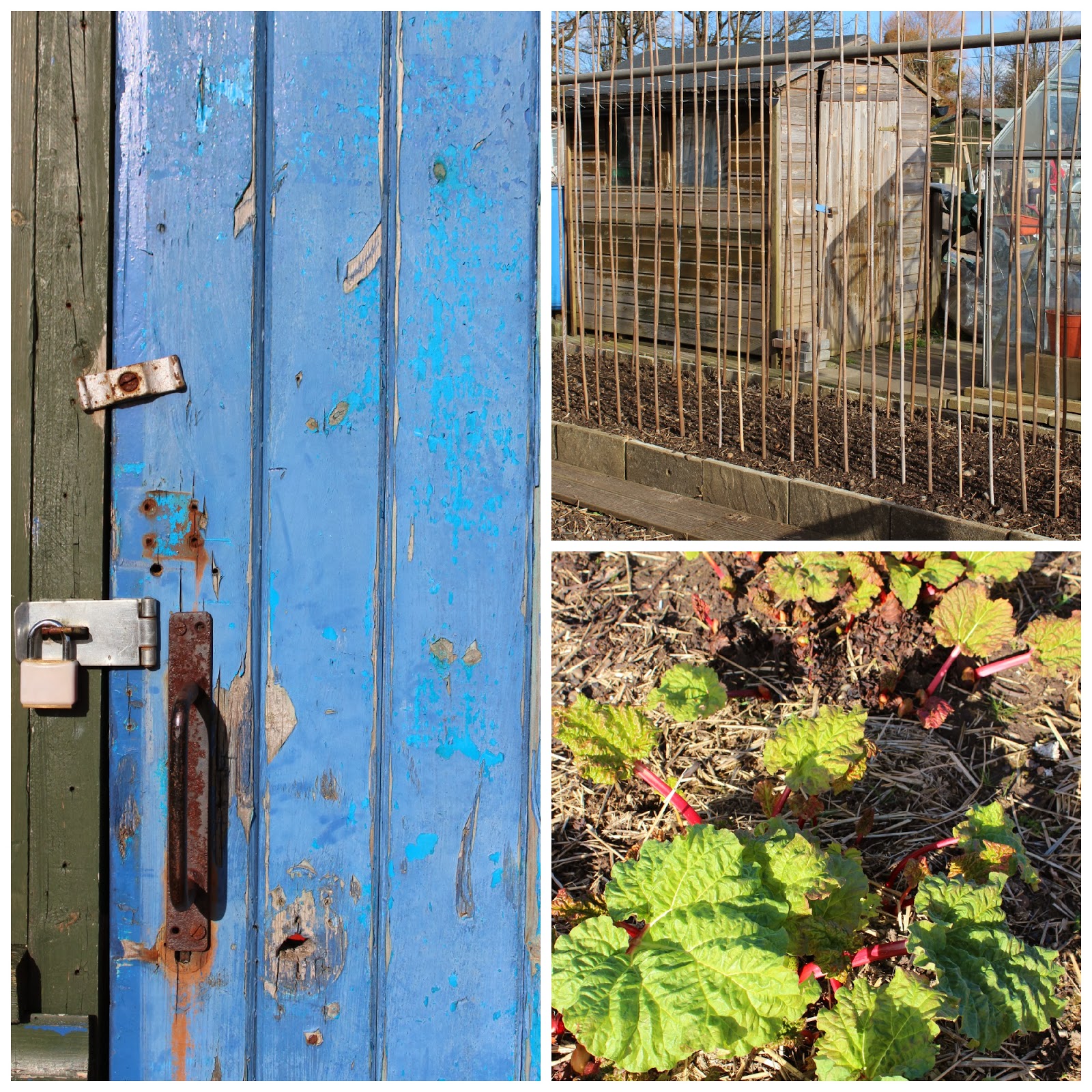 Stitch And Bake: Sunshine on the Allotment