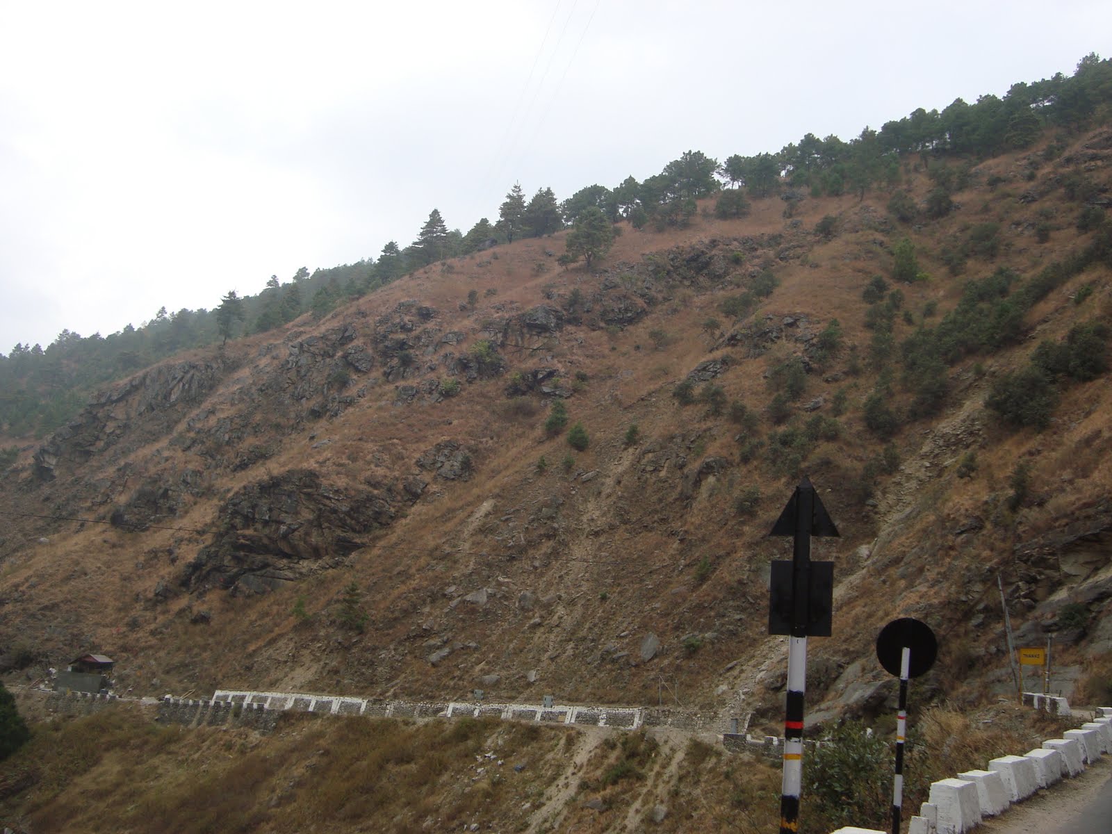 Youth For Nature: My First Trip to West Kameng District (Tenga Valley ...