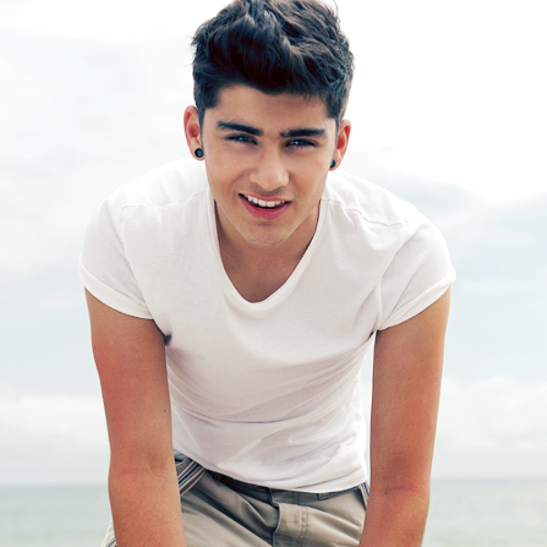 One Direction : Zayn Malik's Profile