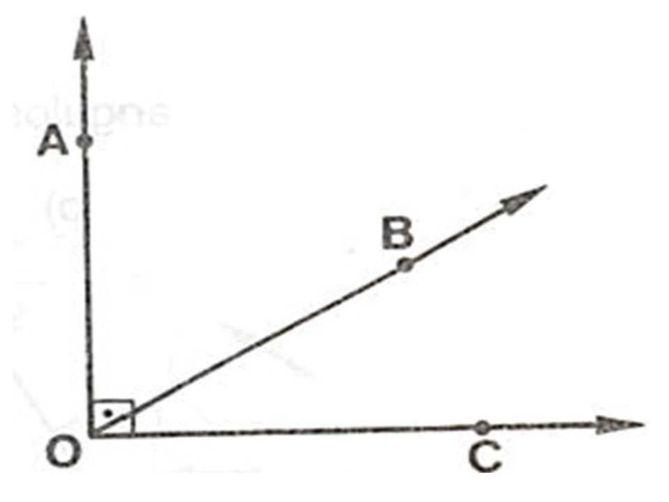TEMPO DE MATEMÁTICA: OPERAÇÕES COM MEDIDAS DE ÂNGULOS