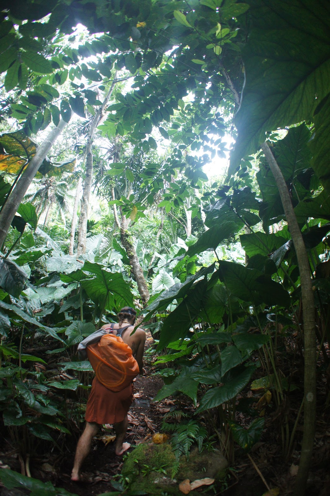 Genesis Earthling: May 2013