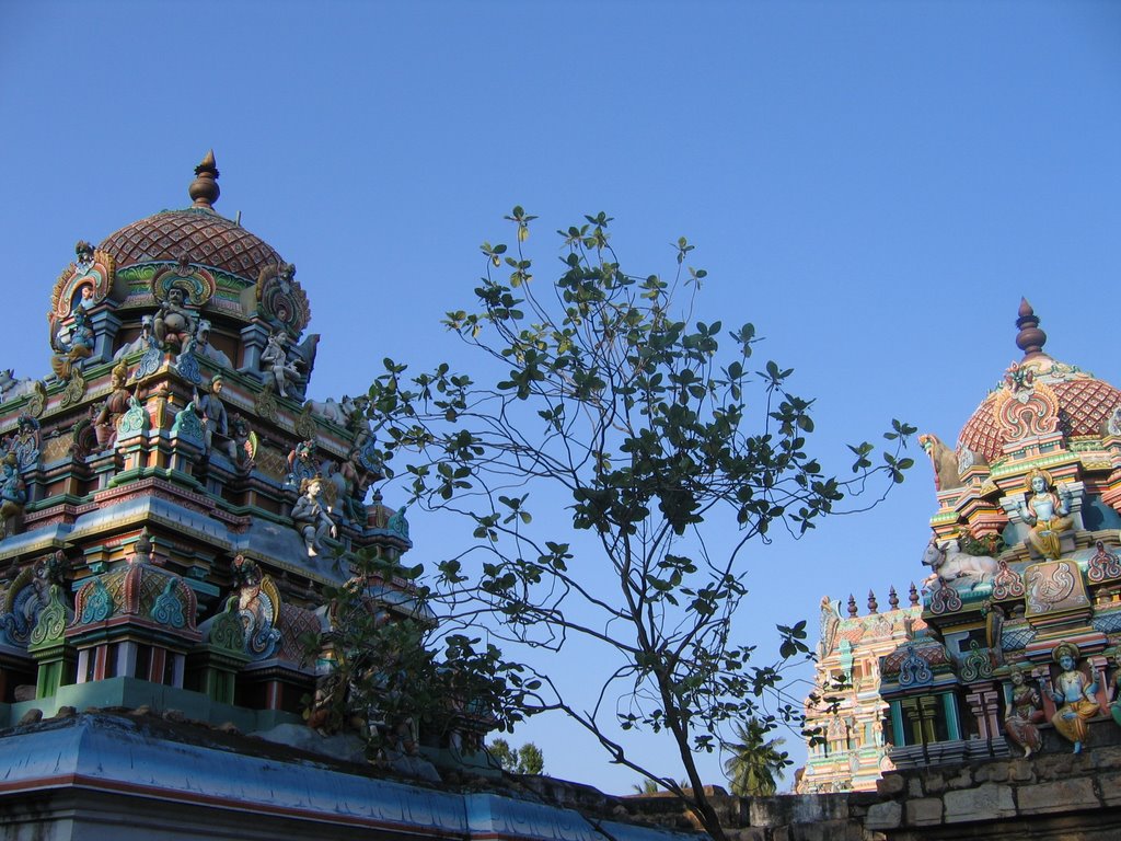 Tamilnadu Tourism: Amritaghateswarar Abirami Temple, Thirukkadaiyur ...