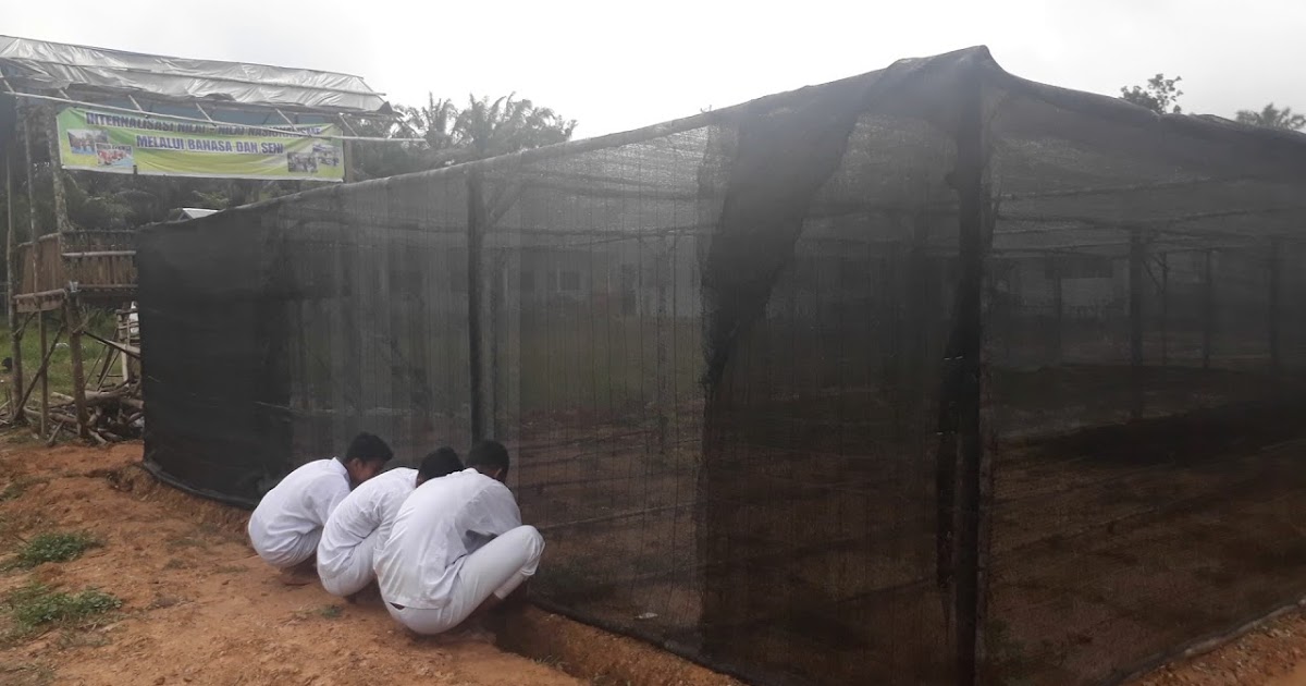 Ini Ia Cara Pemasangan Jaring Paranet/Shading Net Yang Baik & Benar