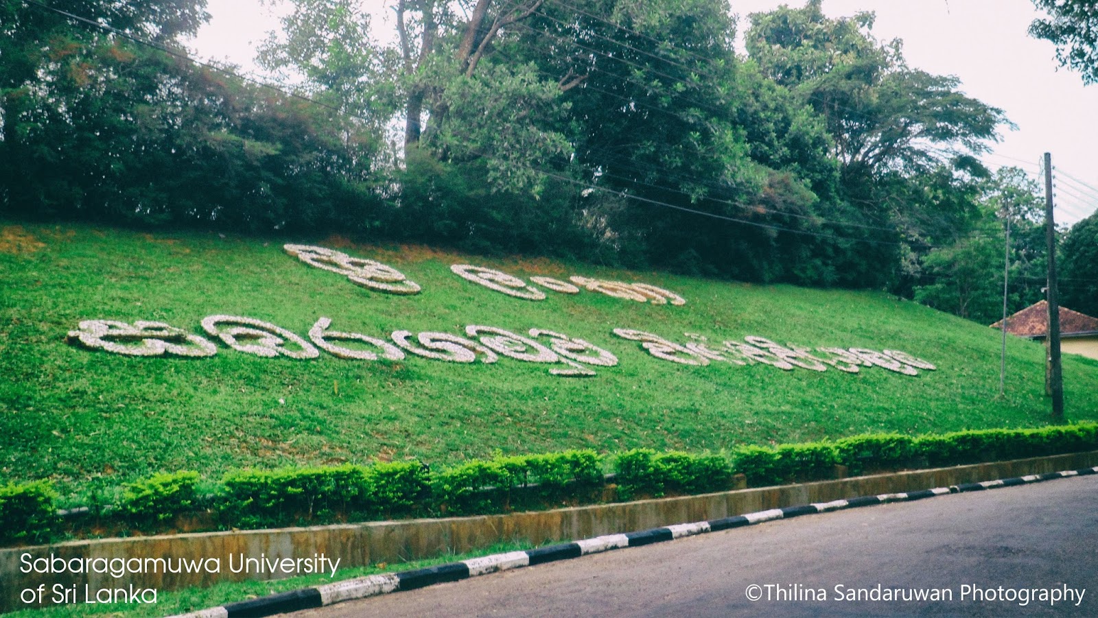 Sabaragamuwa University of Sri Lanka, Belihuloya - Thilina Sandaruwan ...