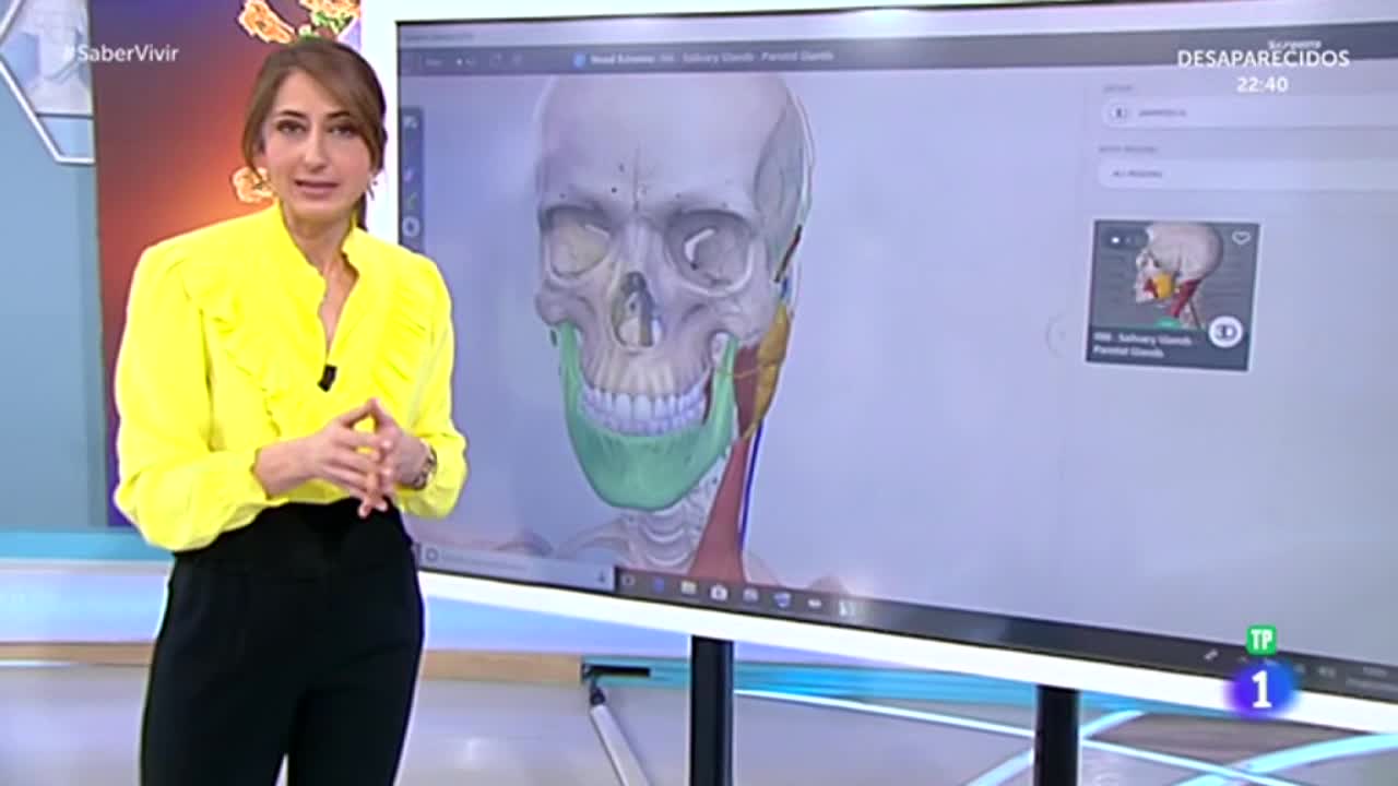 TVcollector: Ana Bellón