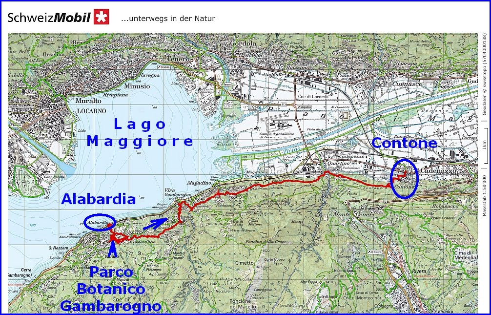 Von Alabardia zum Parco Botanico Gambarogno und bis Contone (TI ...