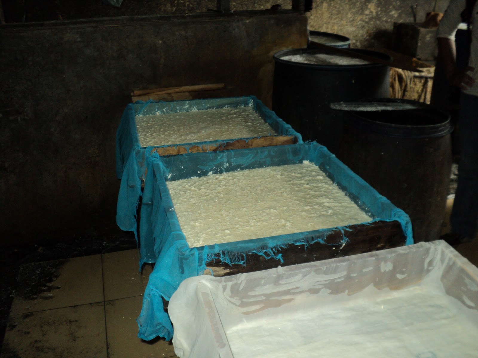 HutDoPI08: Agroindustri : Pembuatan Tahu