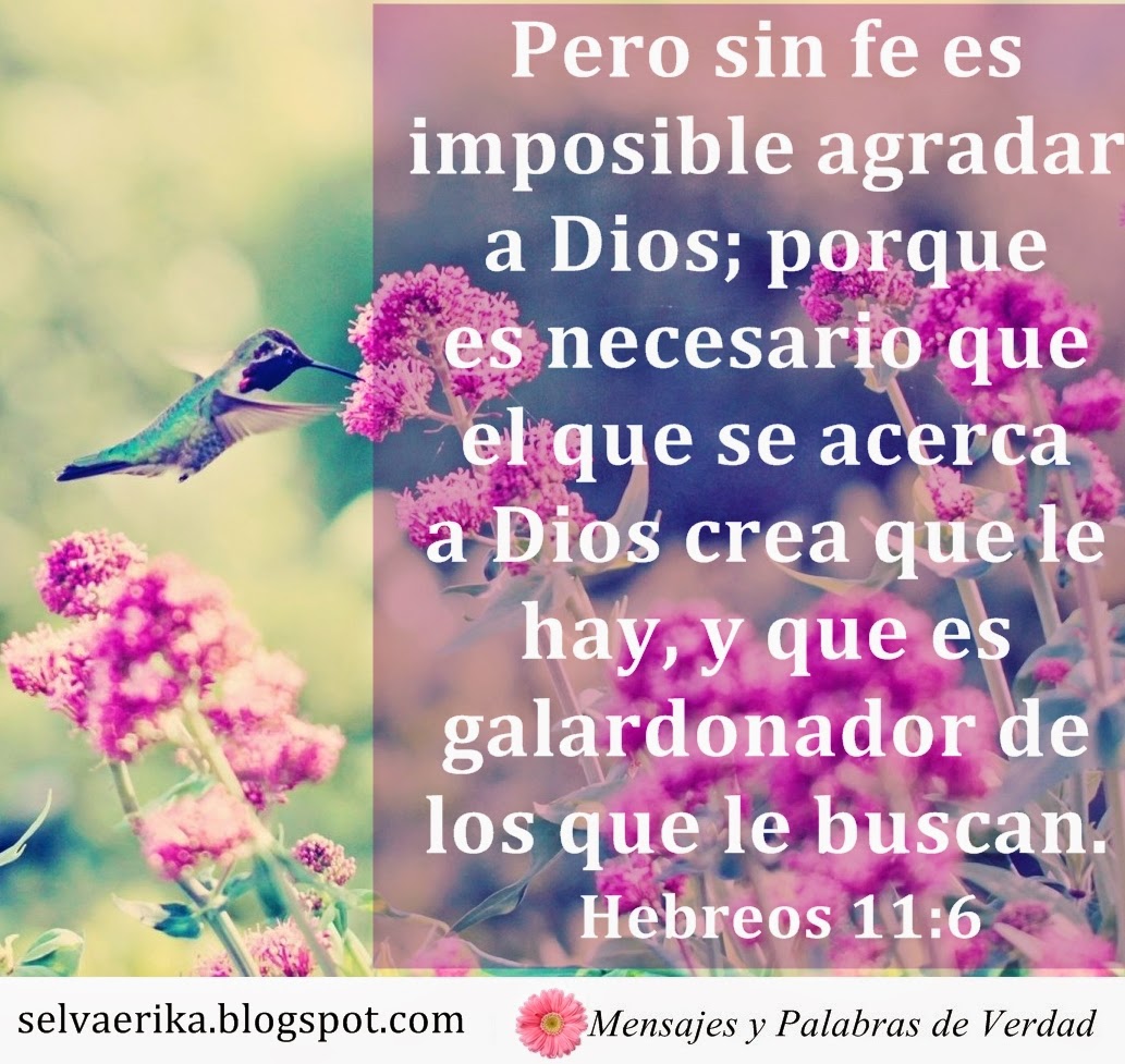 Mensajes y Palabras de Verdad: VERSICULOS SOBRE LA FE