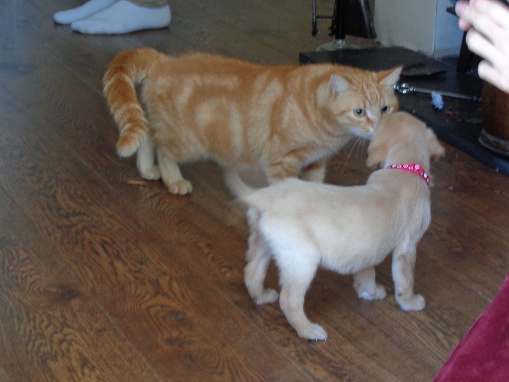 Mark Lawrence: In other news ... I'm on Instagram now!