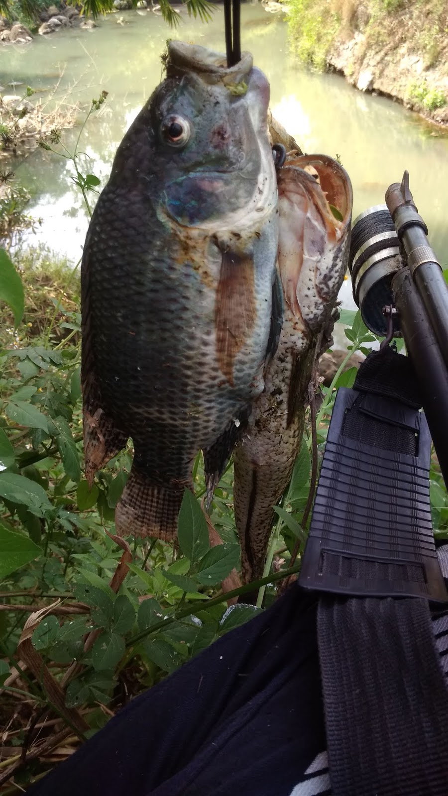 CARA MUDAH MERUBAH SENAPAN ANGIN BIASA MENJADI SENAPAN PASER IKAN