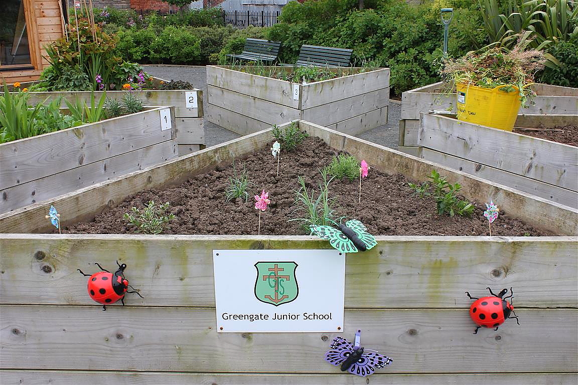 Welcome to the Green Heart Dens blog page.......: A bright and ...