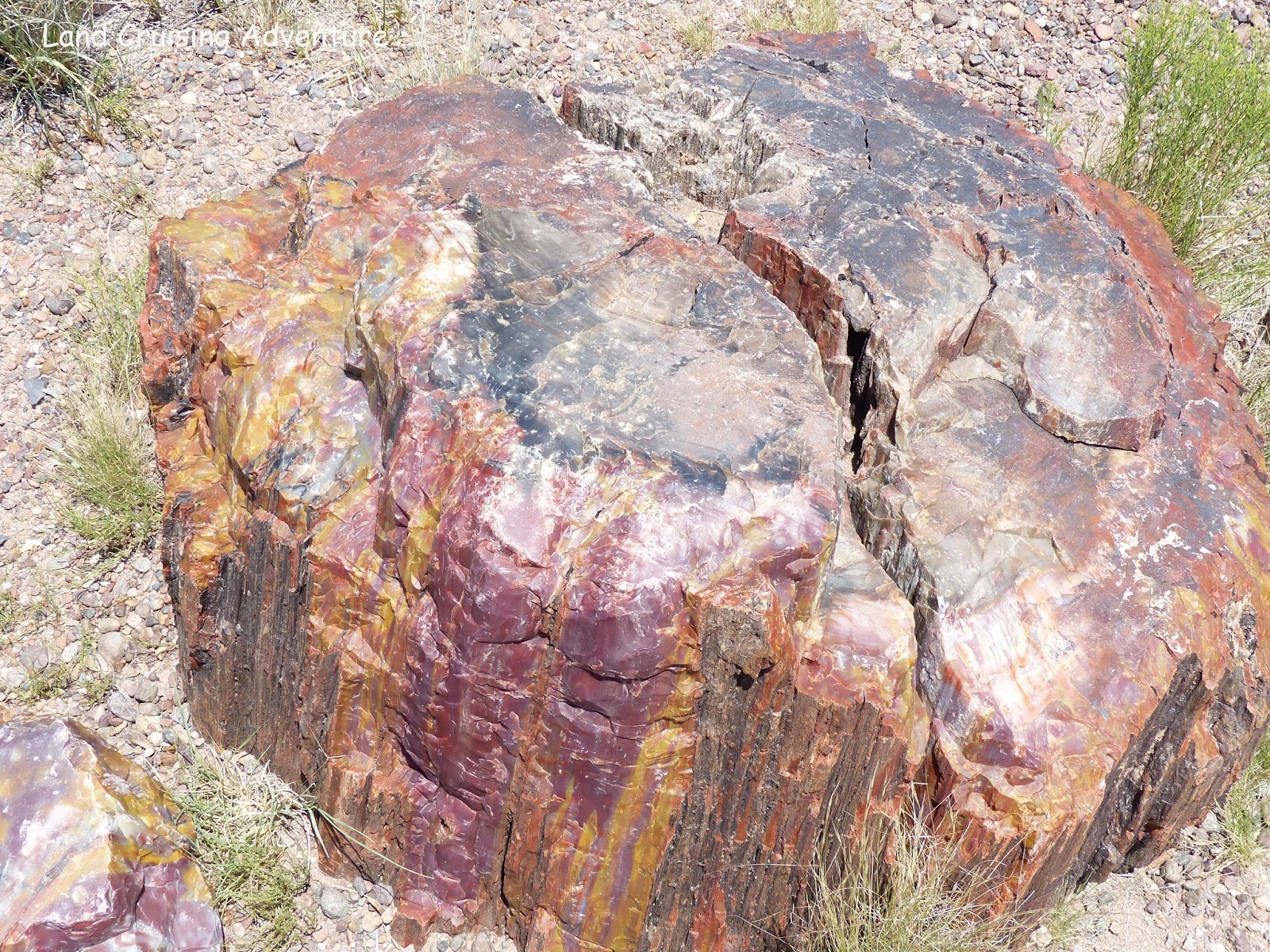 Land Cruising Adventure: Petrified Forest National Forest