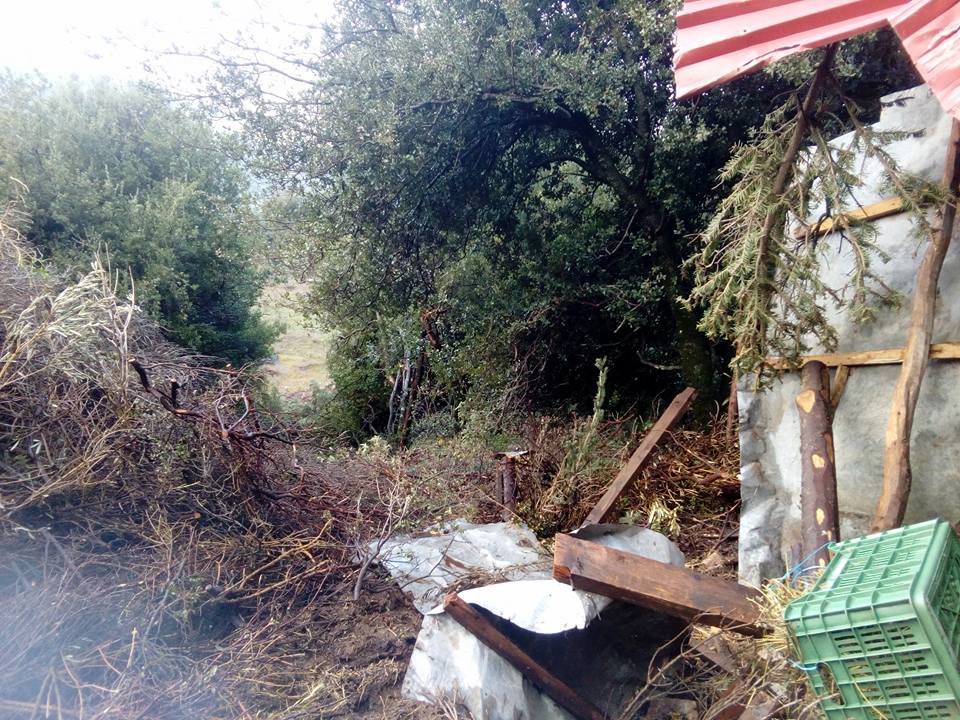 Παρακαμπύλια Νέα: ΑΠΟ ΘΑΥΜΑ ΔΕΝ ΥΠΗΡΞΑΝ ΘΥΜΑΤΑ ΣΤΗΝ ΧΟΥΝΗ ΛΟΓΩ ...